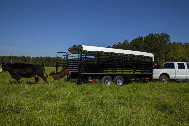 LIVESTOCK TRAILERS – Stoll Trailers